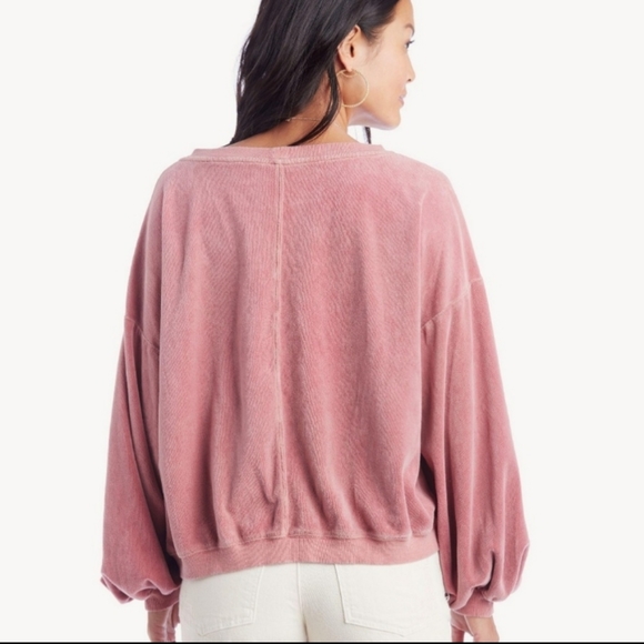 1. State | Tops | State Berry Color Velour Top | Poshmark